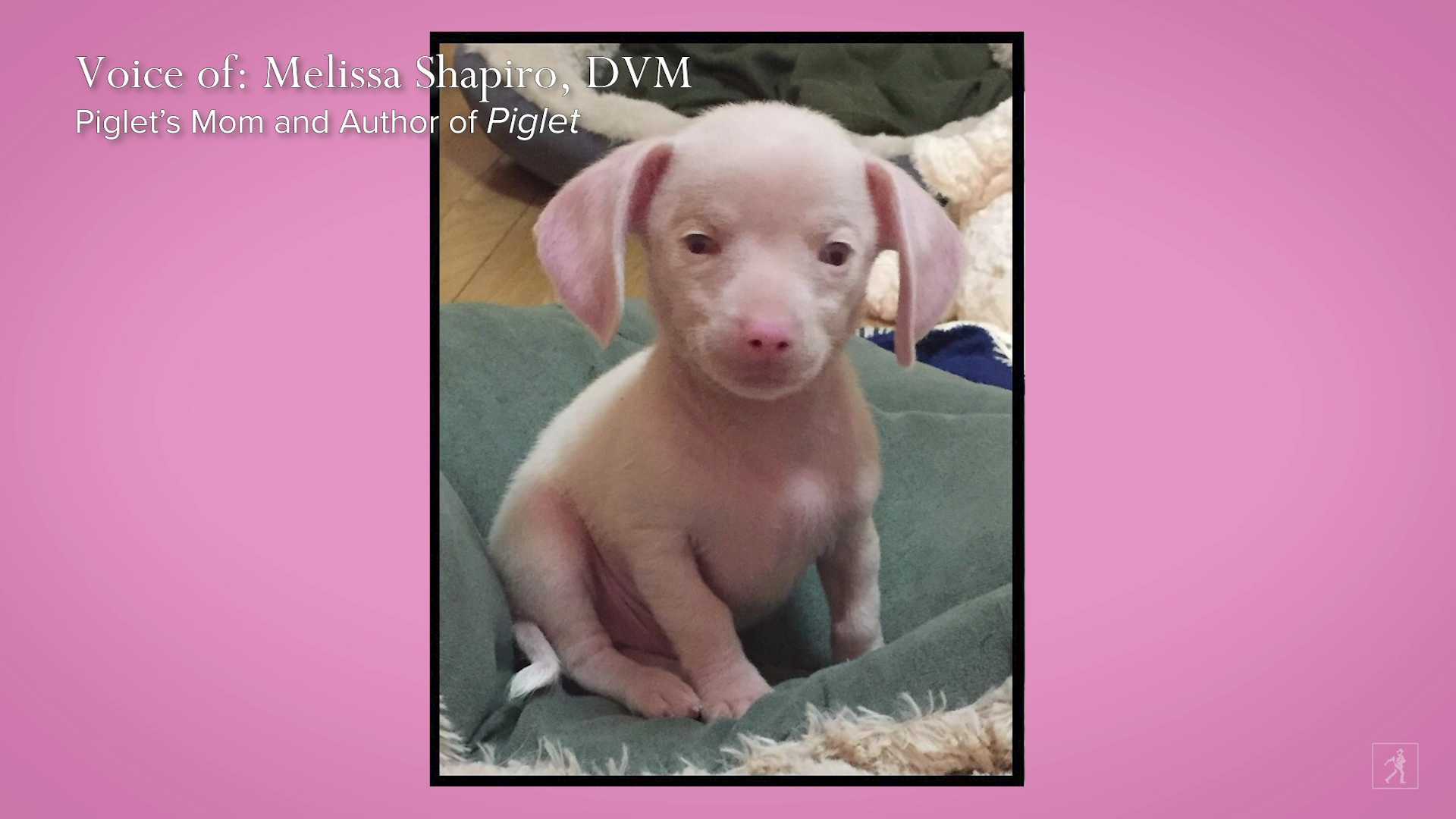 Mim Eichler Rivas | Official Publisher Page | Simon & Schuster