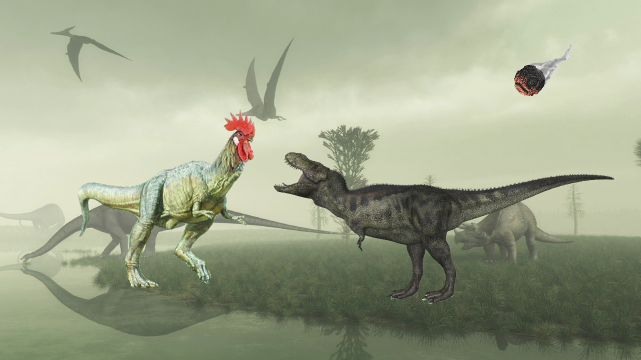 Lenore Appelhans | Official Publisher Page | Simon & Schuster