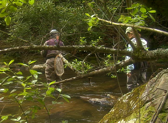 Mary Alice Monroe | Official Publisher Page | Simon & Schuster