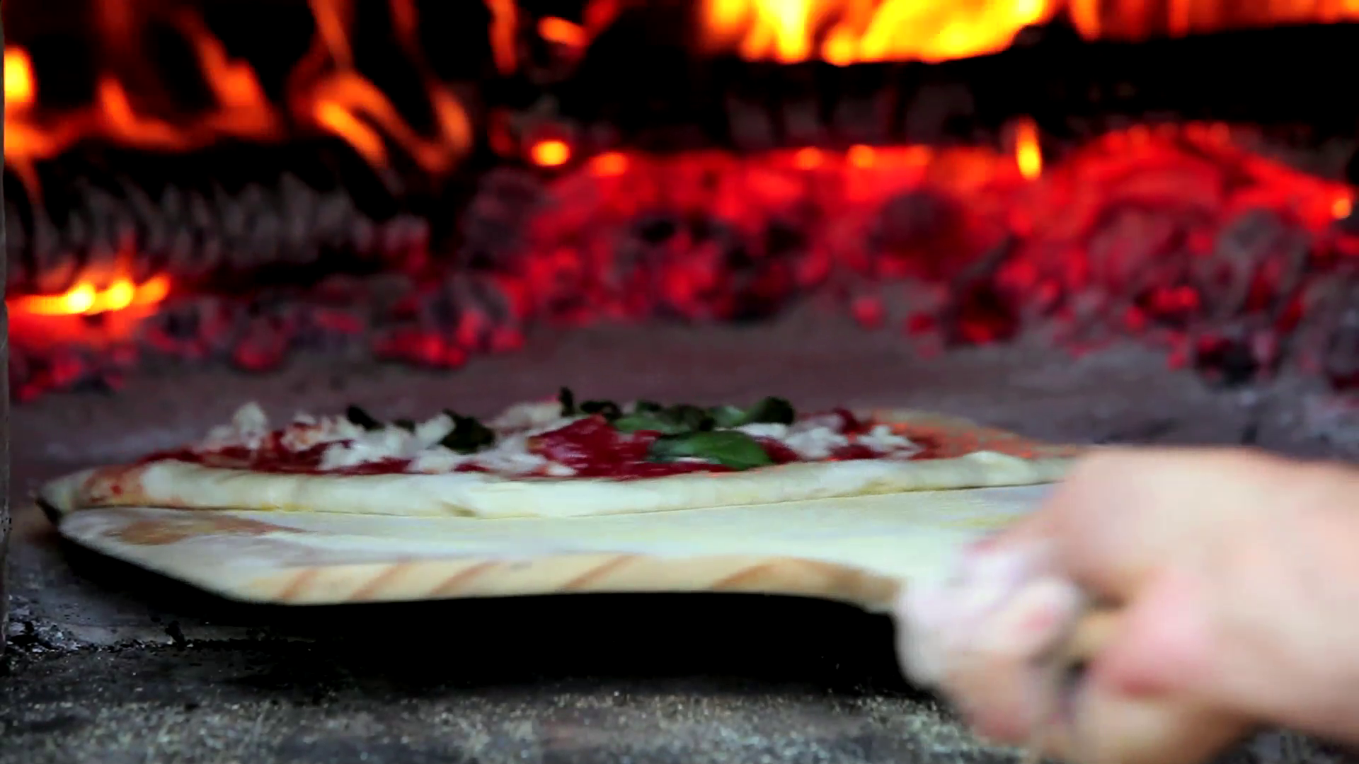 The Tucci Cookbook | Book by Stanley Tucci | Official Publisher Page ...