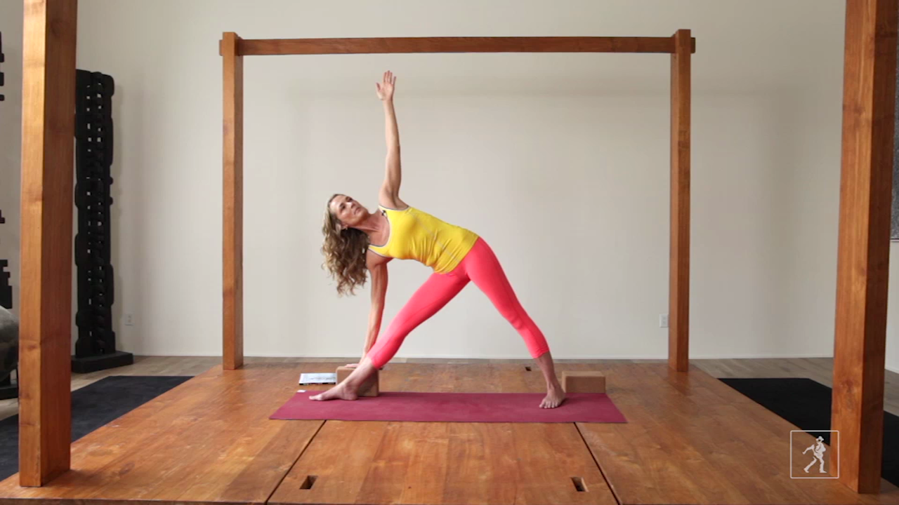 Yoga for Life | Book by Colleen Saidman Yee, Susan K. Reed, Rodney Yee ...