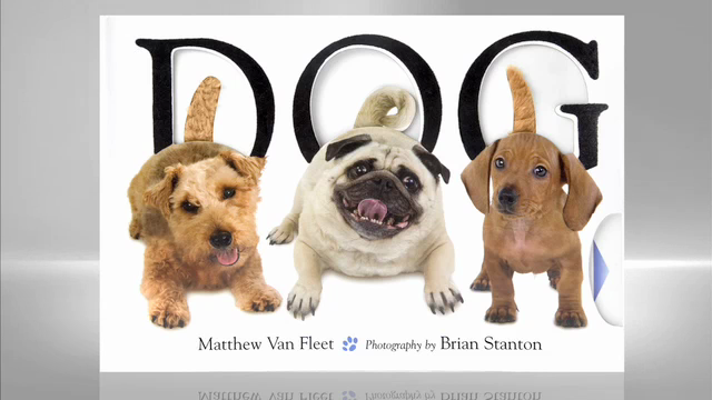 Monday the Bullfrog | Book by Matthew Van Fleet | Official Publisher ...